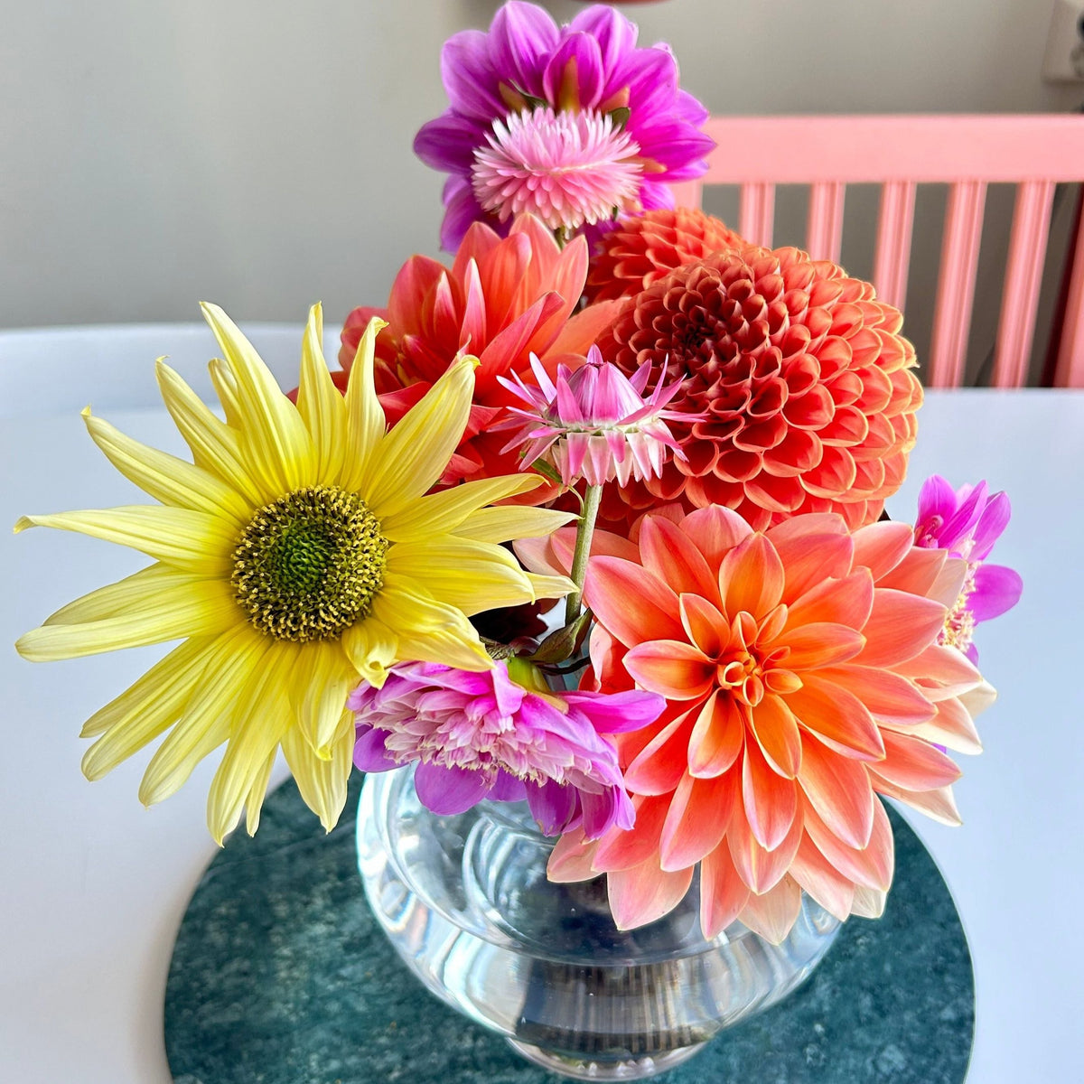 Miniatyrsolros ´Italian Green Heart´ – Soil & Seeds