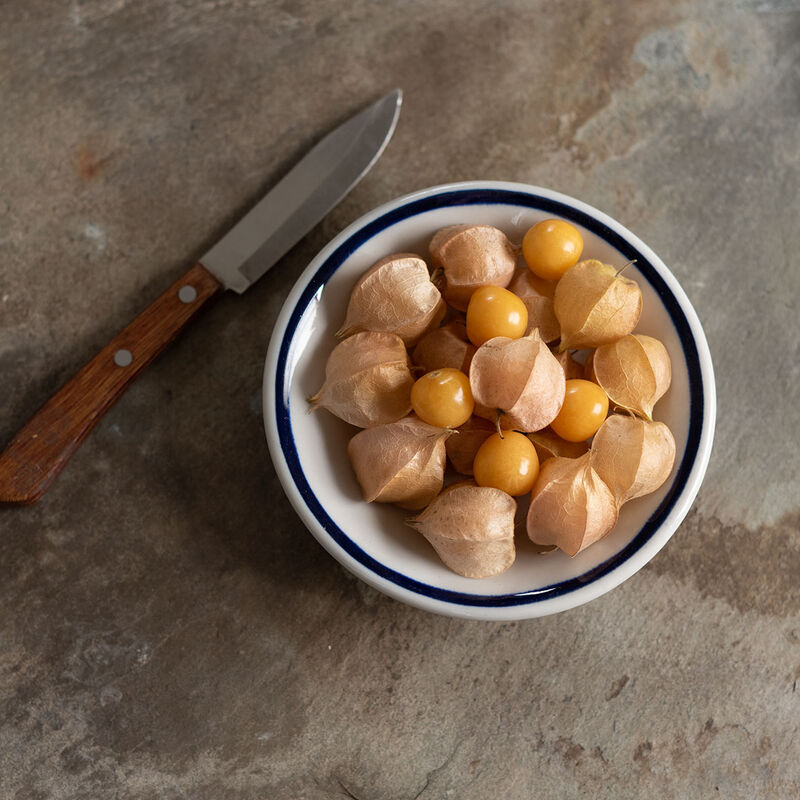 Gyllenbär ´Goldie´- Köp frön till gyllenbär hos Soil & Seeds!